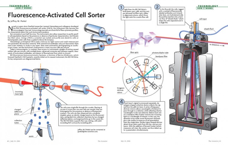 Technical Illustration – Viacelli.com